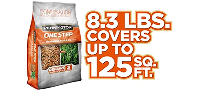Best Grass Seeds for Full Sun 2020 - Green Yard Magazine