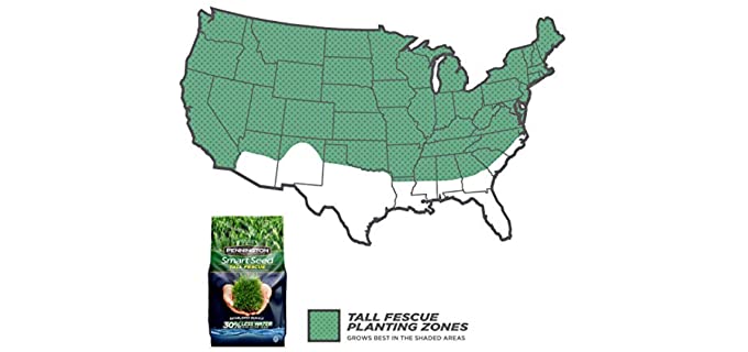 Best Grass Seeds for Full Sun 2020 - Green Yard Magazine