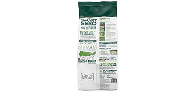 Best Grass Seeds for Shade Areas - Green Yard Magazine