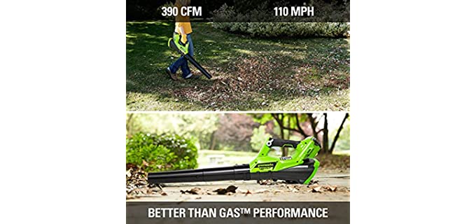 Best Cordless Trimmer and Blower Combos - Green Yard Magazine